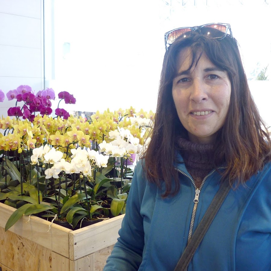 María Elena Degaudenzi: “El incendio en Torres y Liva se podría haber ...